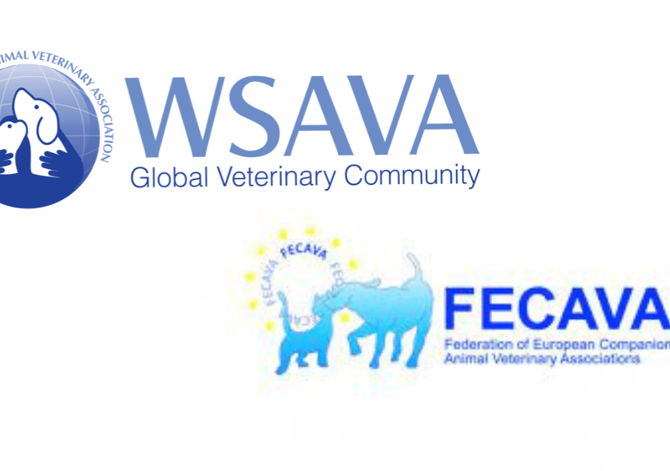 Home [wsava.org]