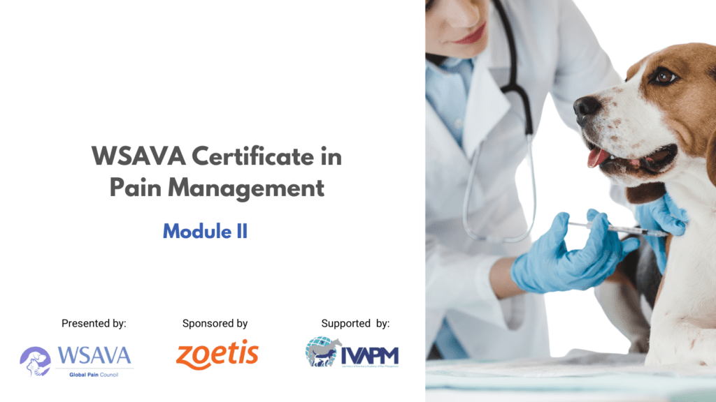Module 2 of the WSAVA Certificate in Pain Management launched - WSAVA