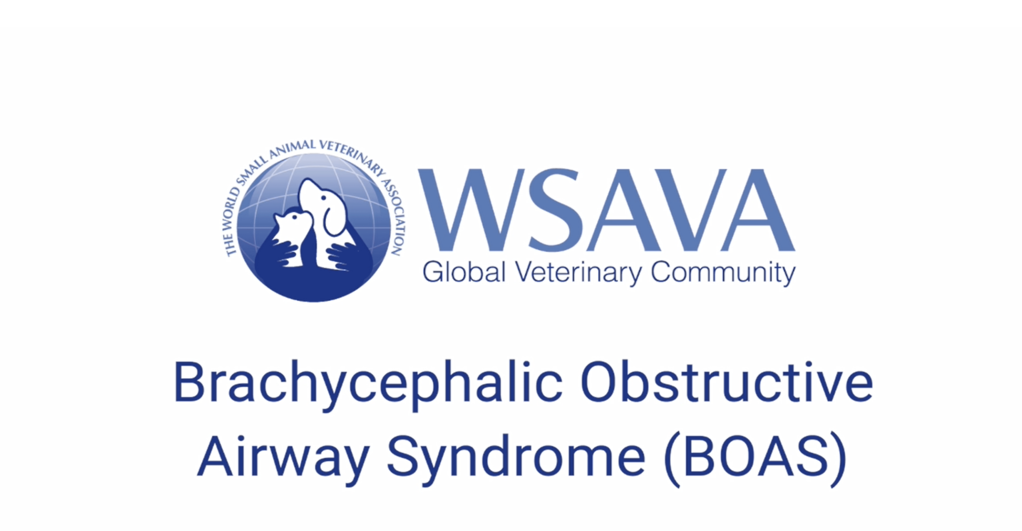 WSAVA warns of ‘canine welfare crisis’ among short-nosed breeds - WSAVA