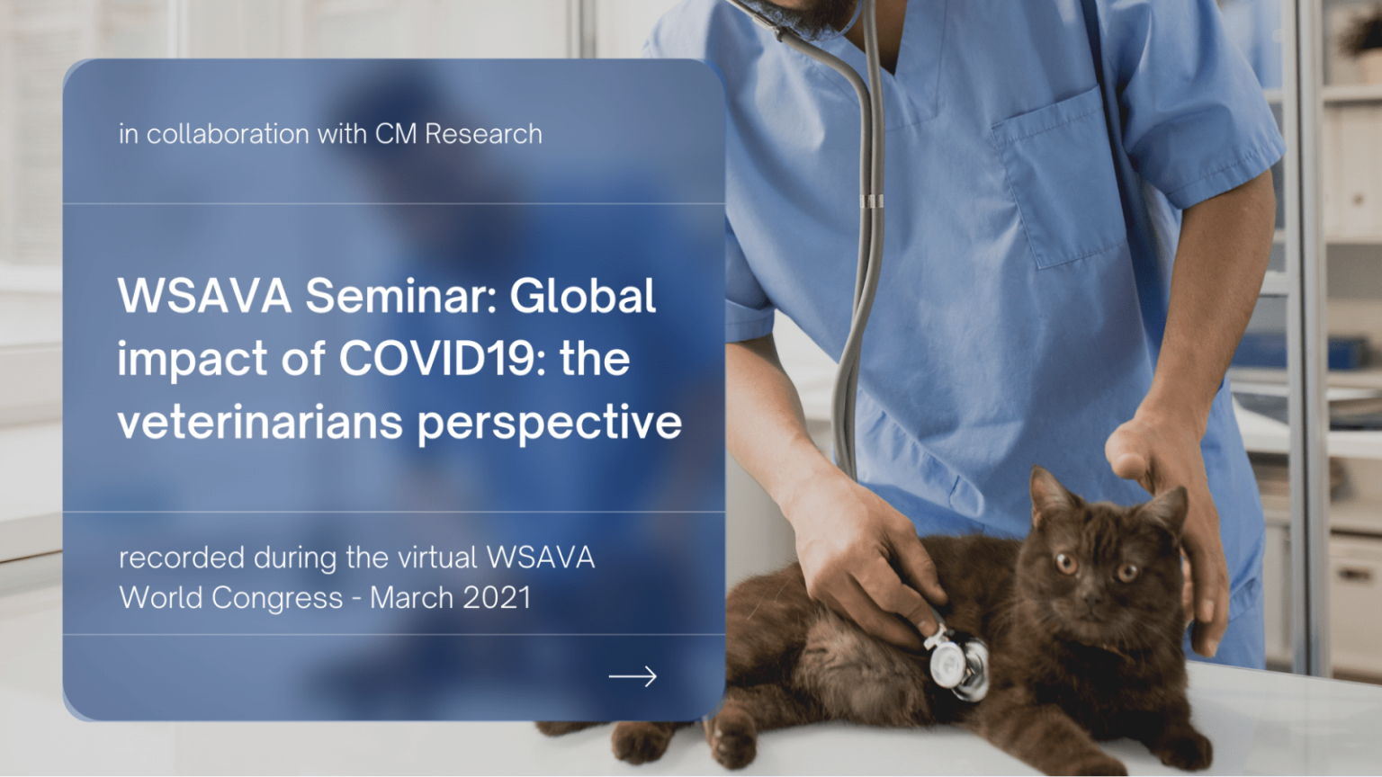 The impact of COVID-19 on the veterinary profession: past, present ...