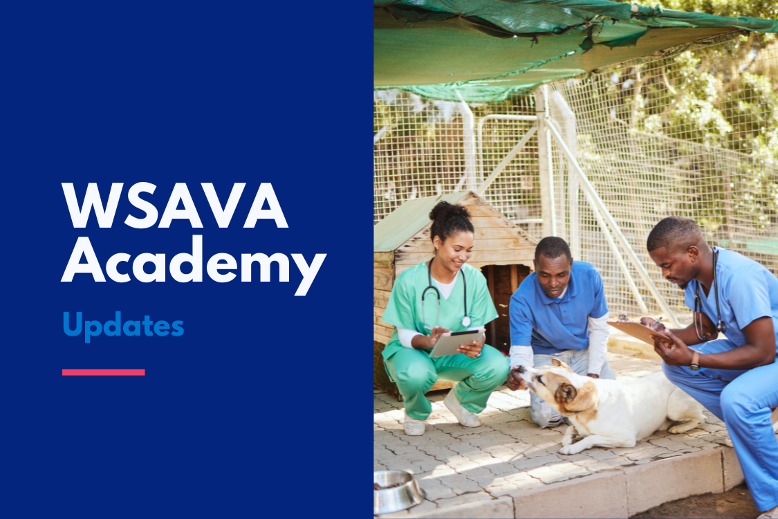 A New Platform for the WSAVA Academy is Coming Soon! - WSAVA