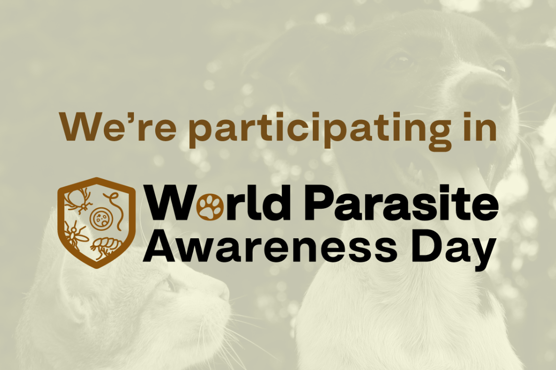 WSAVA Supports Parasite Awareness Day – Join Us in Raising Awareness! - WSAVA